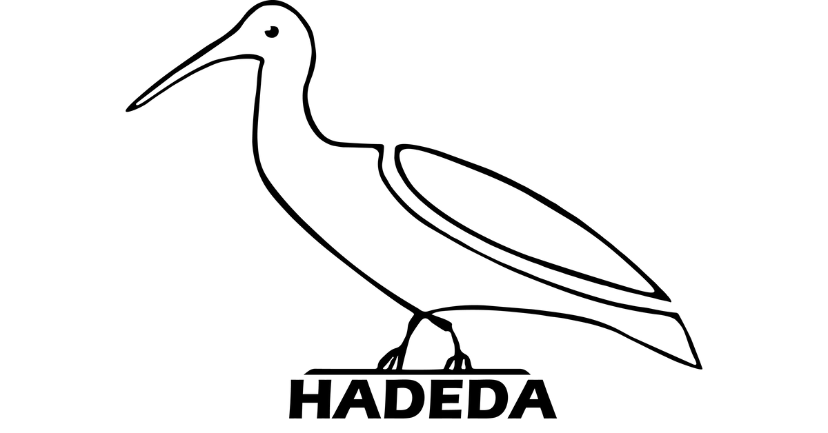 Hadeda
